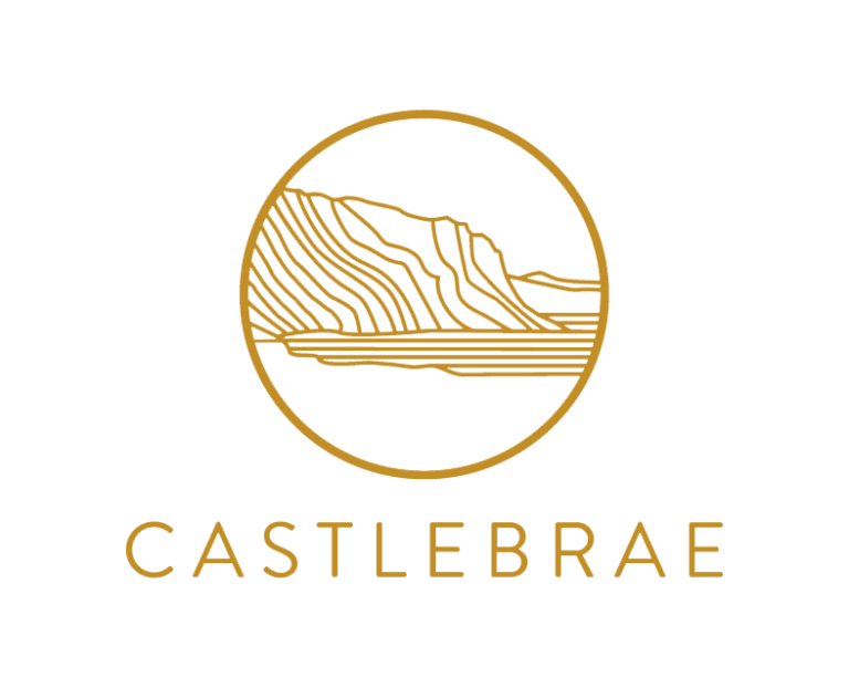 Our Vineyard - Castlebrae Vineyard